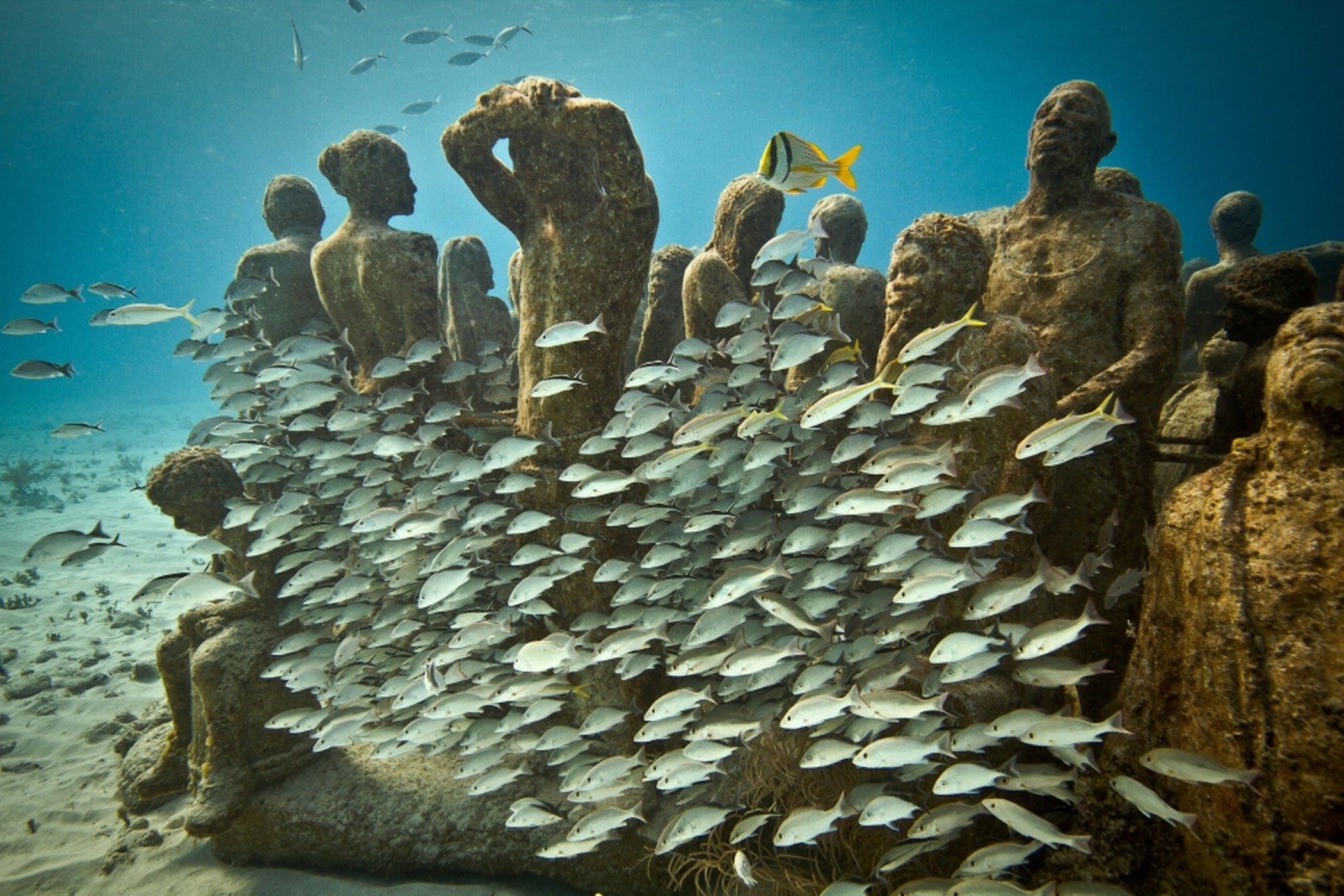 Artificial Reefs Project Dives into Greek Mythology - Greek News Agenda