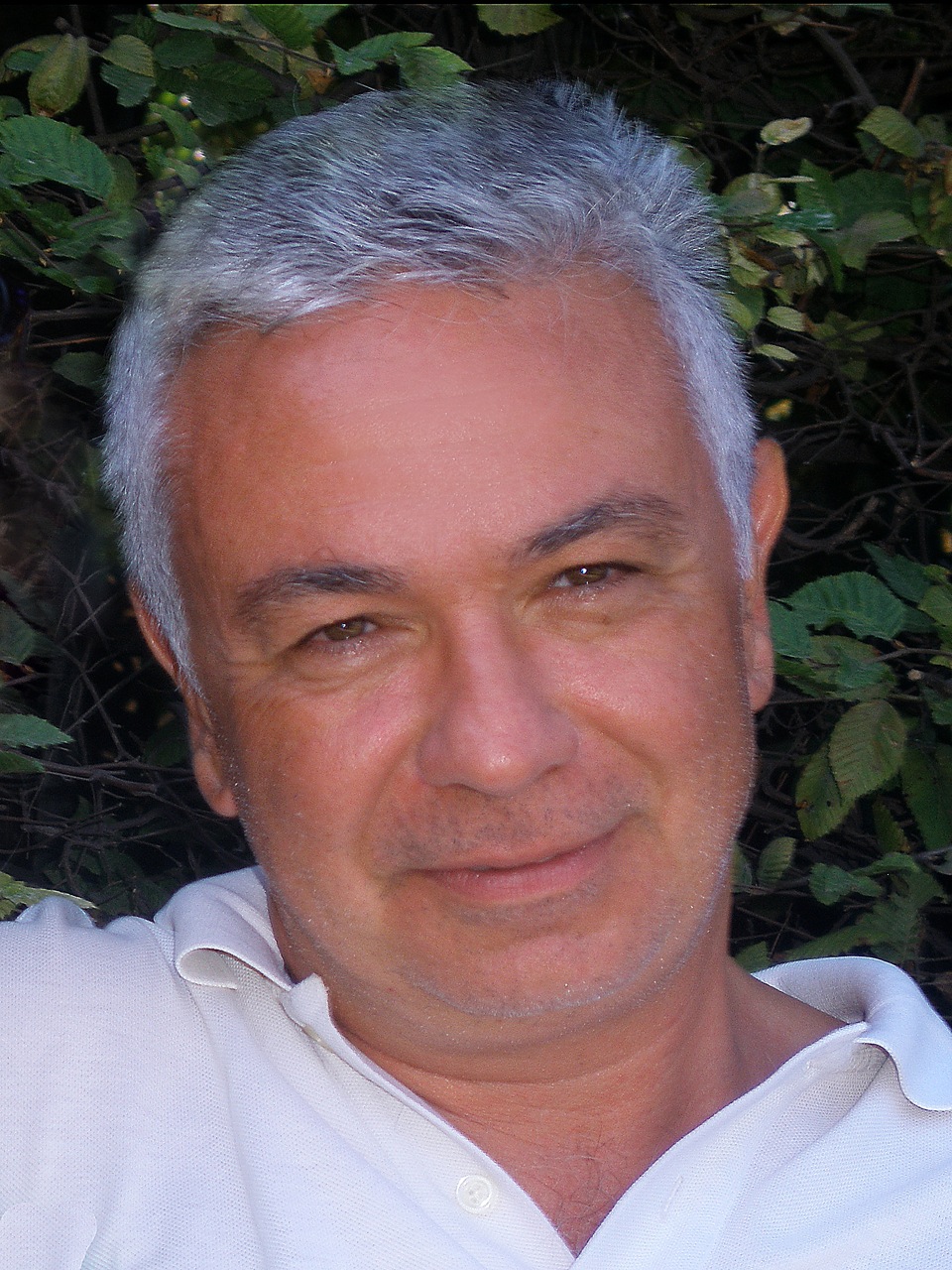 Reading Greece: Thanassis Hatzopoulos on Poetry and Psychoanalysis as ...