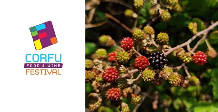 Corfu: A Destination for Memorable Food & Wine Tasting - Greek News Agenda