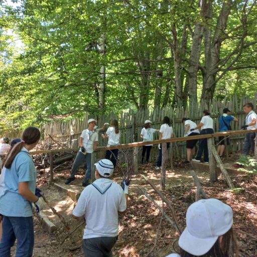 ARCTUROS : The Greek NGO that has been protecting the brown bear and ...
